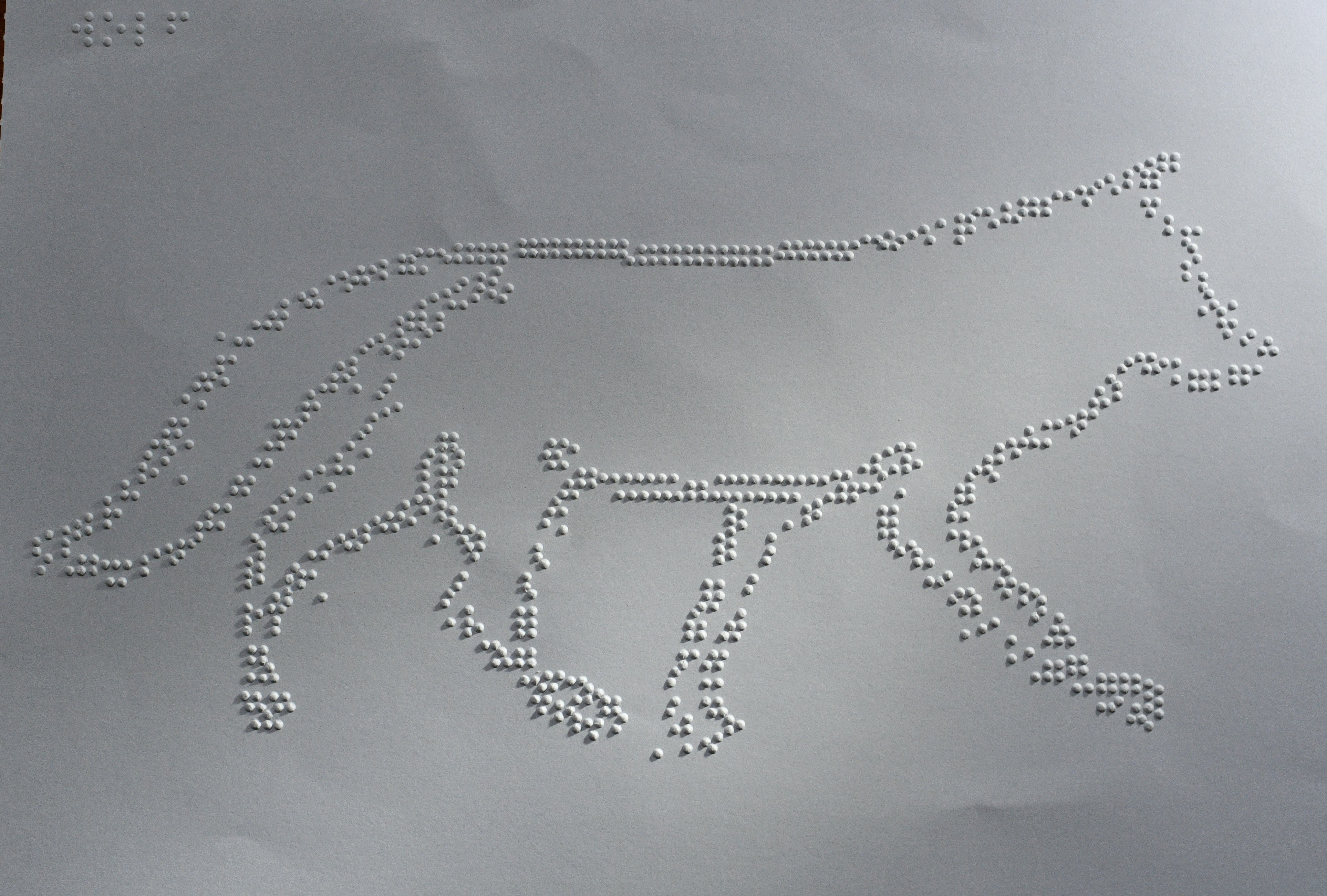 Fox – All Things Dotty