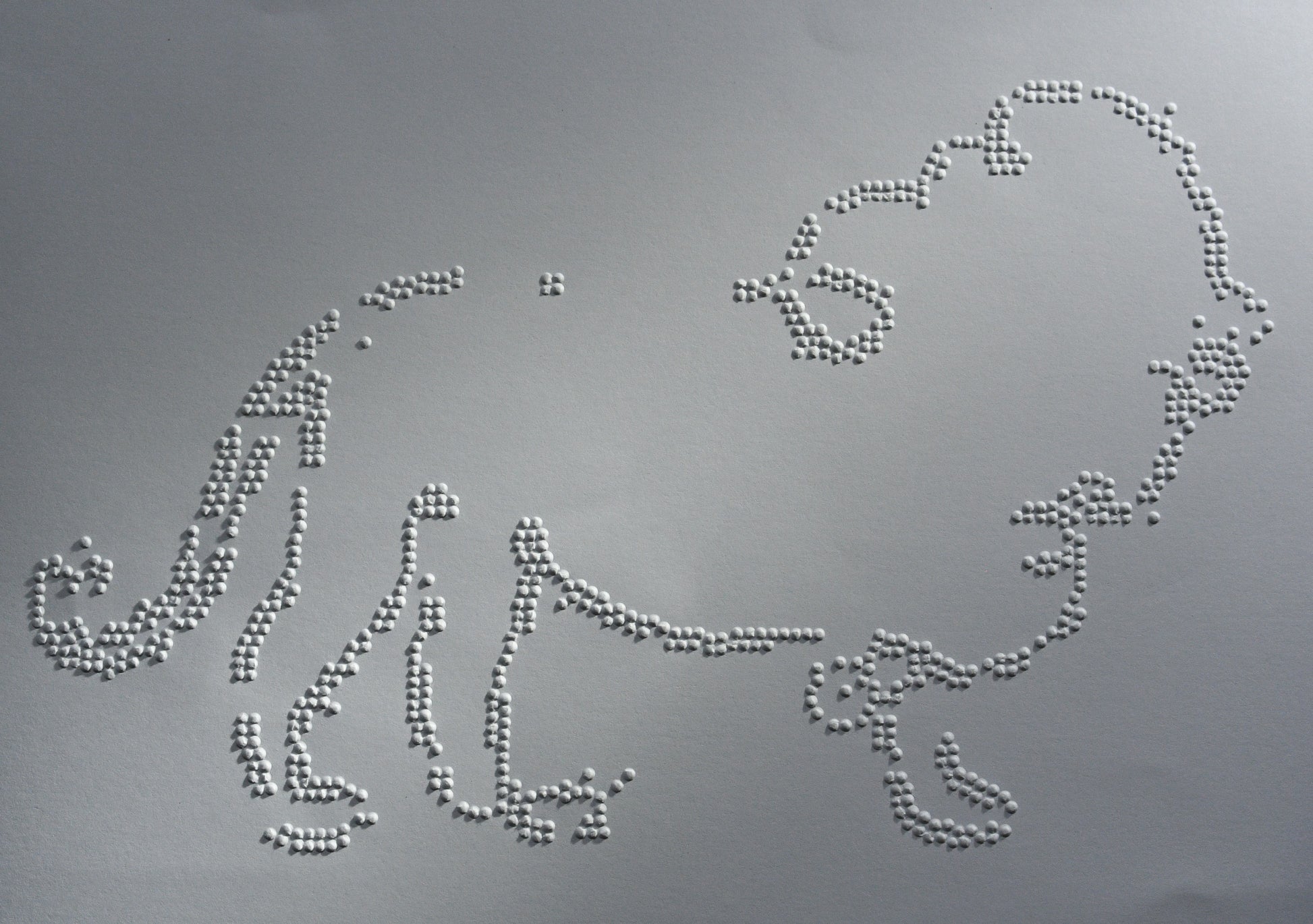 Lion – All Things Dotty