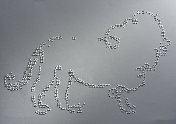 Lion – All Things Dotty